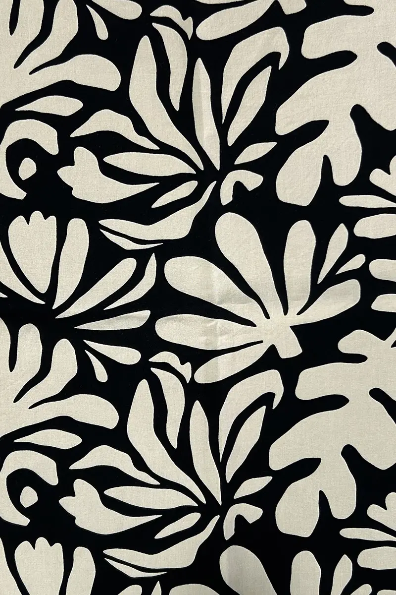 COL2410104 – Pamera